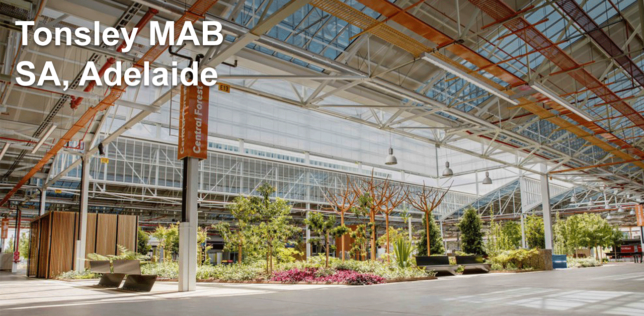 New Project: Tonsley MAB - Alerton Australia